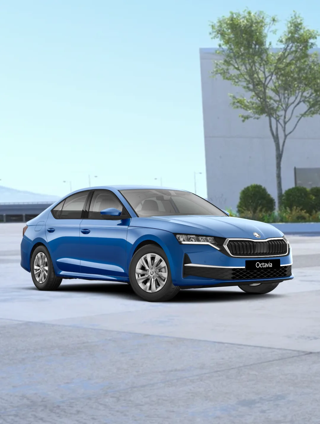 New Octavia Hatch For Sale - Hampshire, Lyndhurst, New Forest | Meadens ...