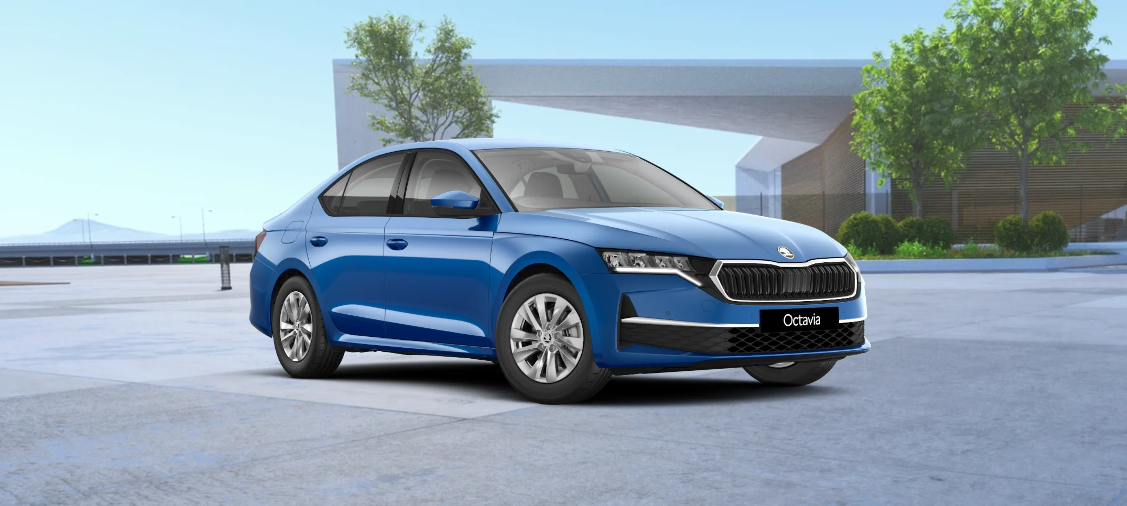 New Octavia Hatch For Sale - Hampshire, Lyndhurst, New Forest | Meadens ...